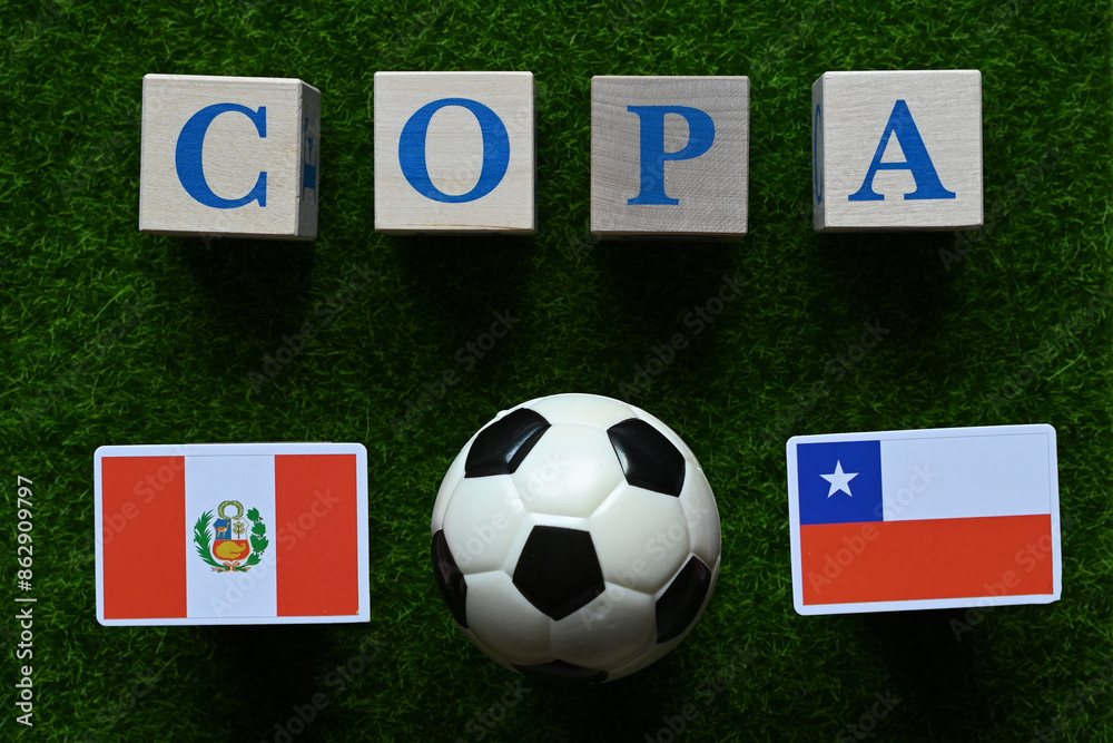 Flags of the participating teams of the America's Cup Soccer Group A ...