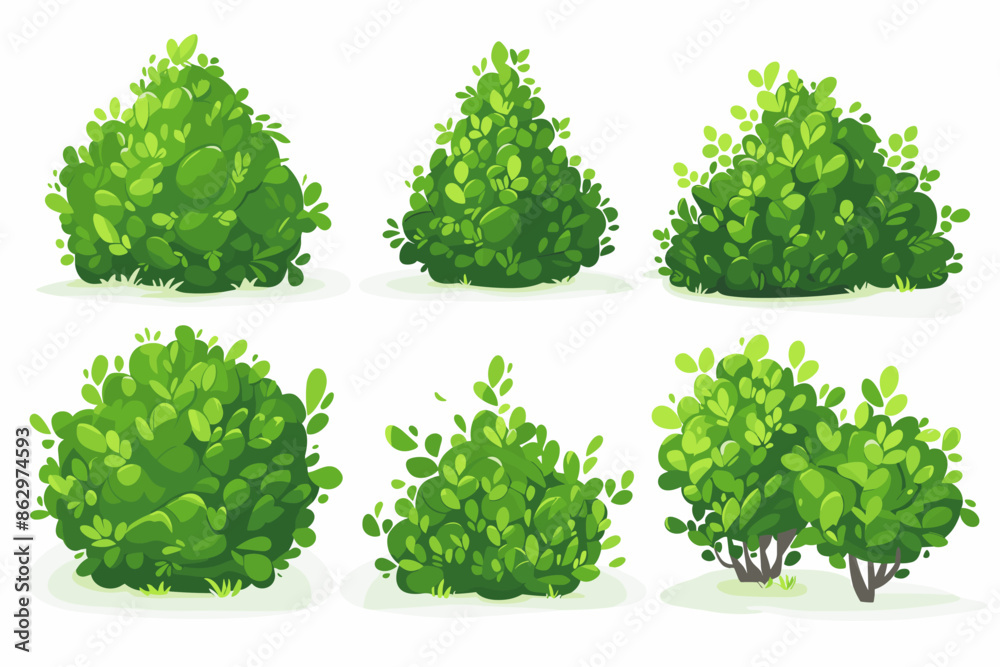 Set of vector bush illustrations on a white background. Green flat ...