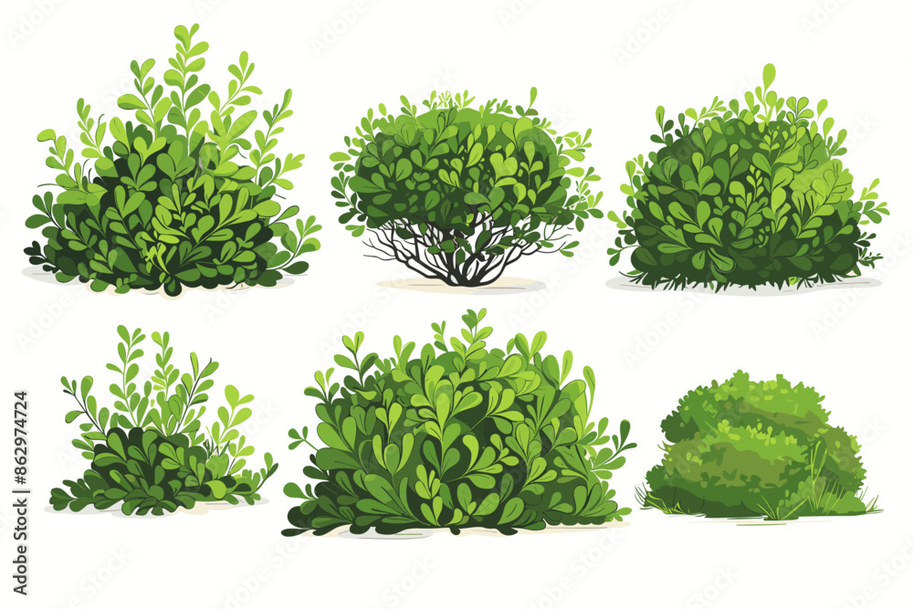 Set of vector bush illustrations on a white background. Green flat ...