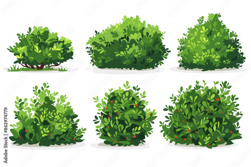 Set of vector bush illustrations on a white background. Green flat ...