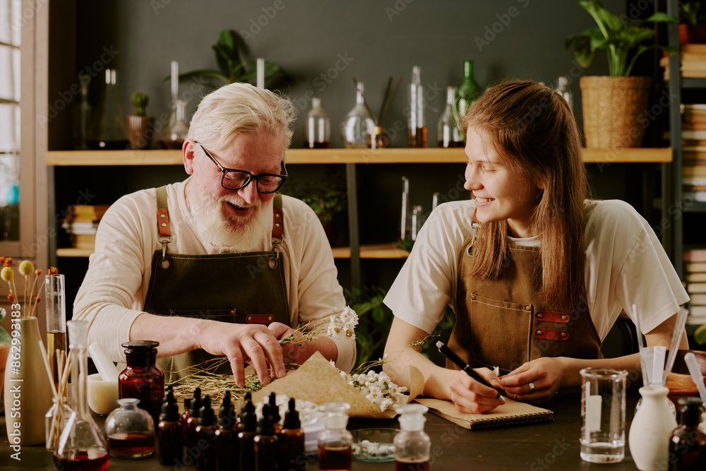 Senior perfumer sorting dried daisies and laughing while his female ...