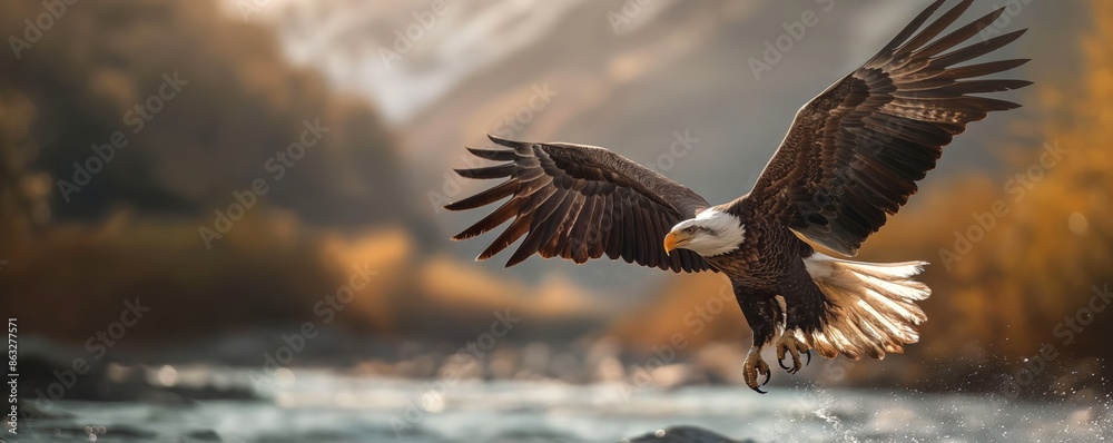 This image portrays a majestic bald eagle with outspread wings soaring ...
