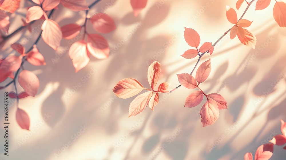 Leaf shadow and light on wall pink abstract background. Nature tropical ...