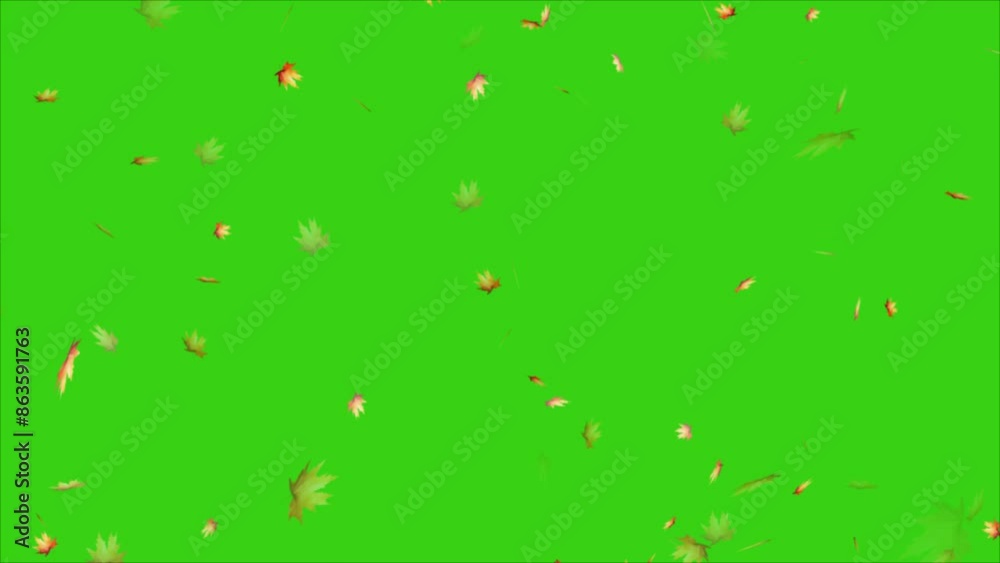 Leaves falling animation on green screen 4k. leaf falling. realistic ...