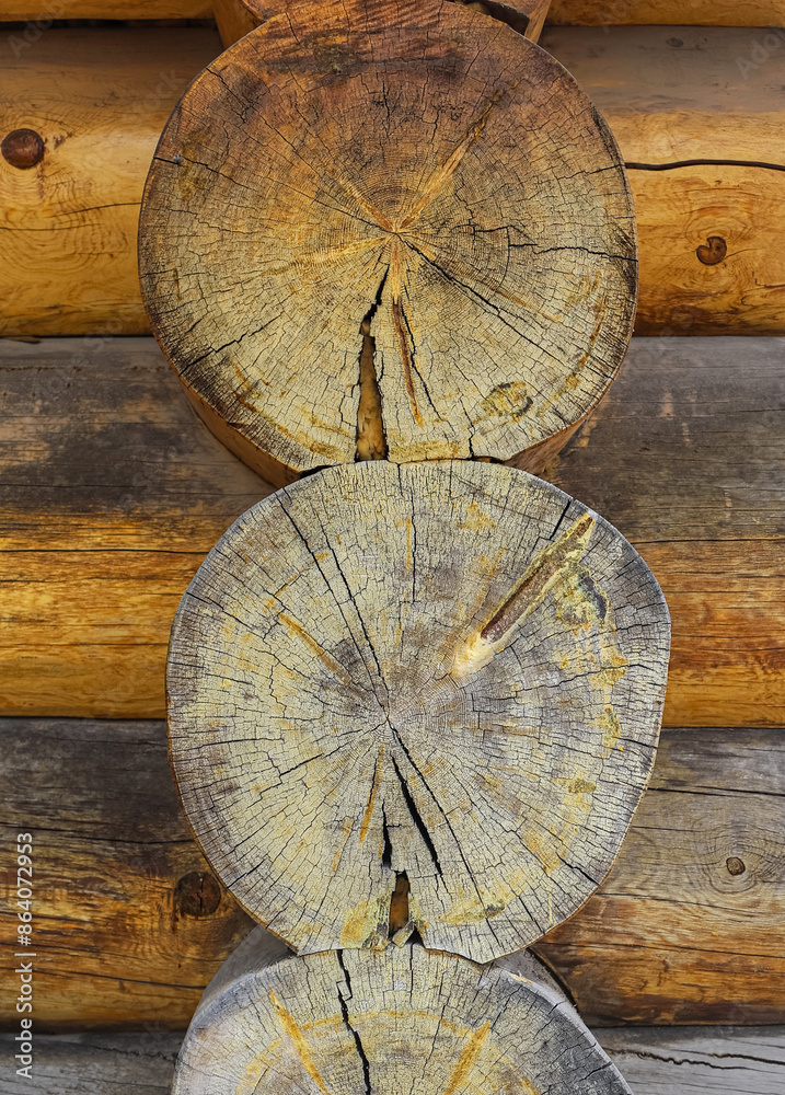 A log wall construction with a swedish cope log profile. Ends of logs ...