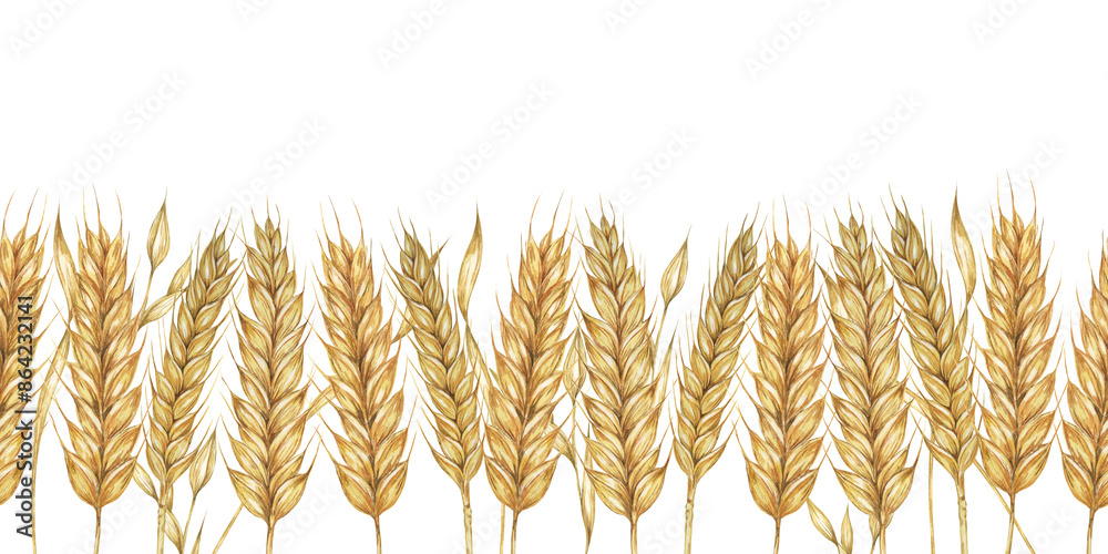 Wheat stalks seamless border, barley ears ribbon. Watercolor ...
