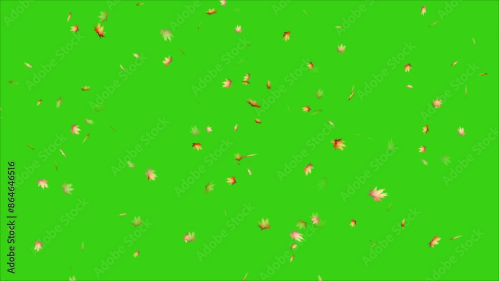 Leaves falling animation on green screen 4k. leaf falling. realistic ...