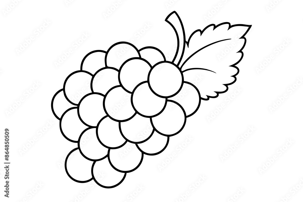 Grapes line art vector, Bunch of grapes with leaf, line art of grapes ...