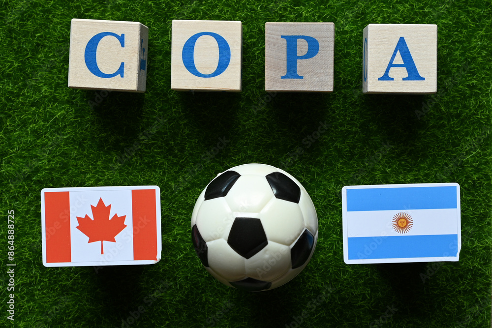 Flags of the participating teams of the America's Cup Soccer Group A ...