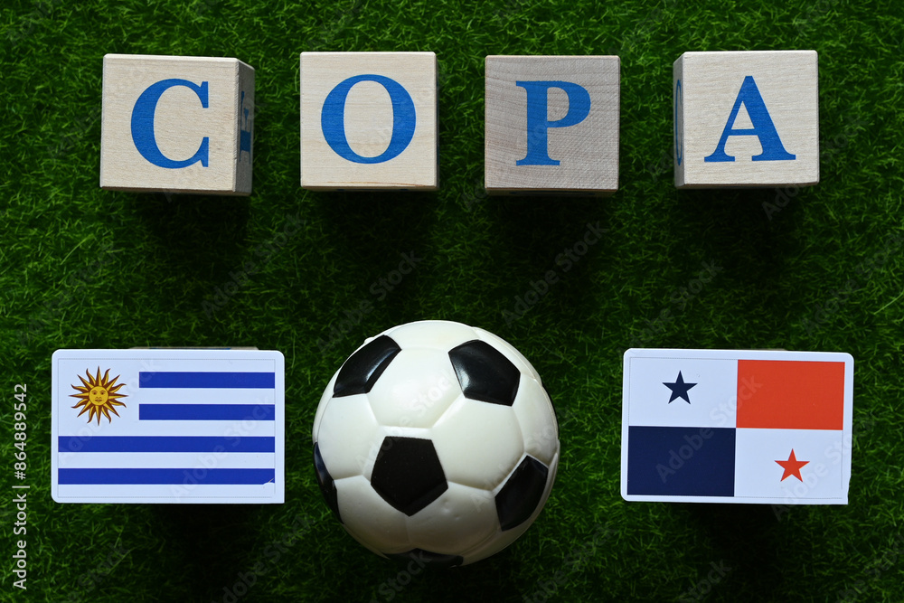 Flags of the participating teams of the America's Cup Soccer Group C ...