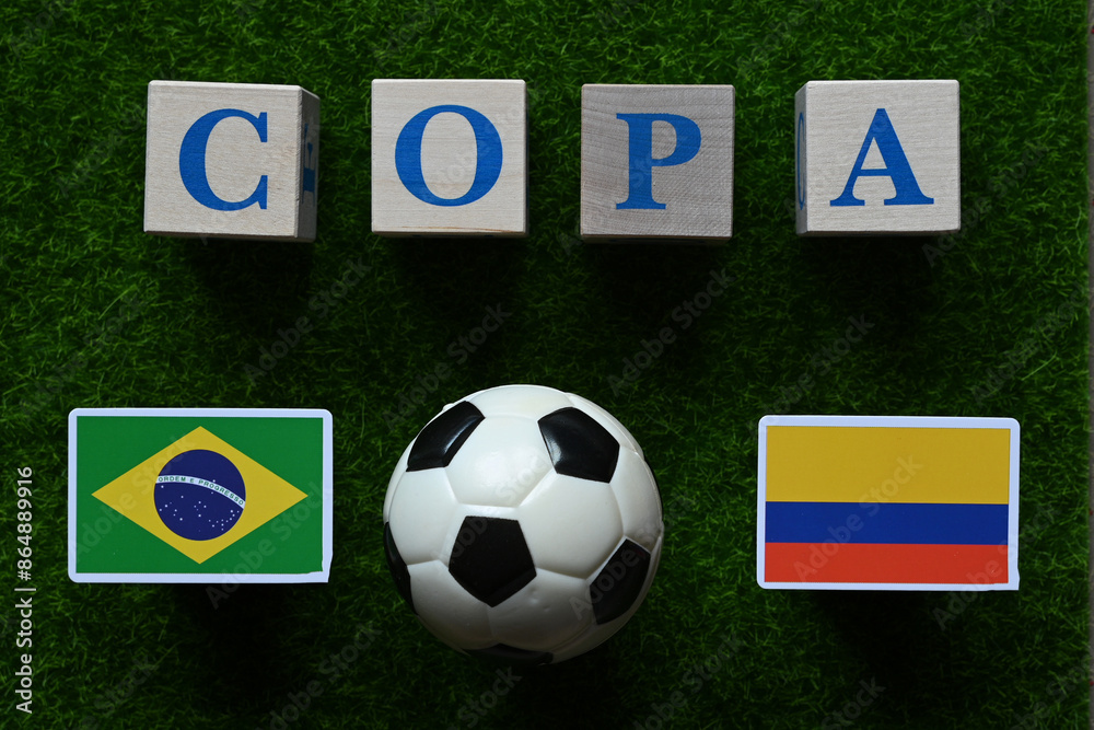 Flags of the participating teams of the America's Cup Soccer Group D ...