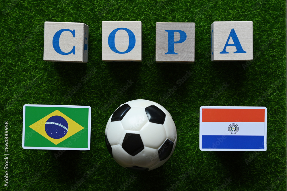 Foto de Flags of the participating teams of the America's Cup Soccer ...