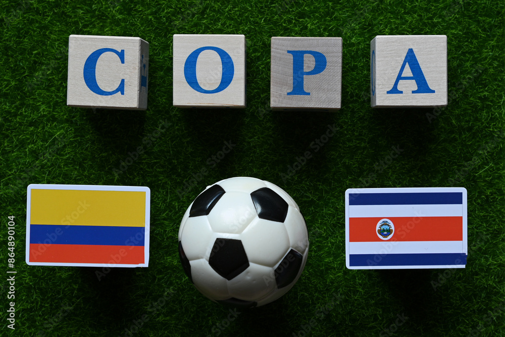 Flags of the participating teams of the America's Cup Soccer Group D ...