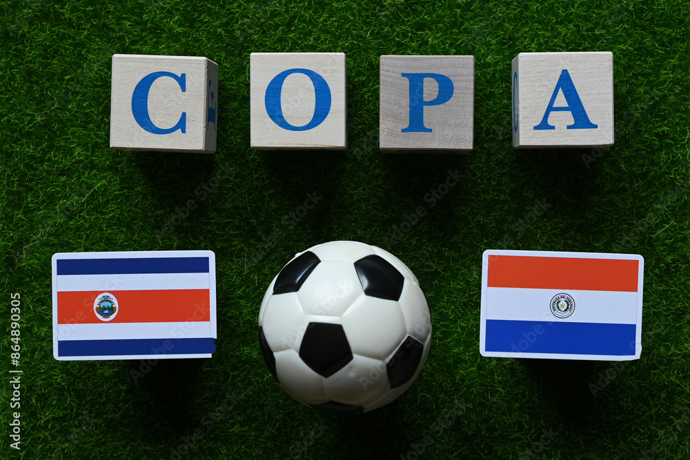 Flags of the participating teams of the America's Cup Soccer Group D ...