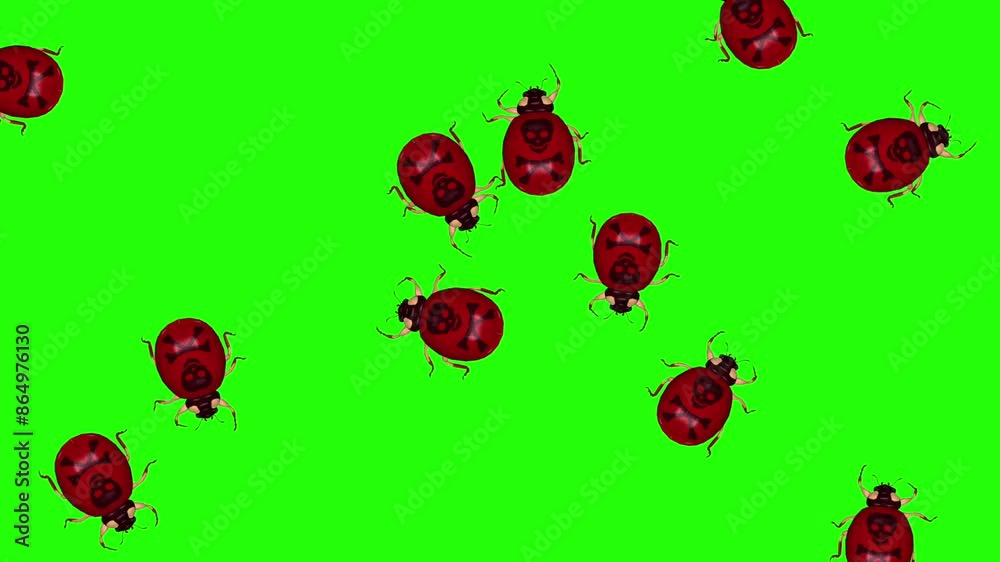 Swarm of 13 Bloody Ladybird Red Beetle Bugs with Black Jolly Roger ...