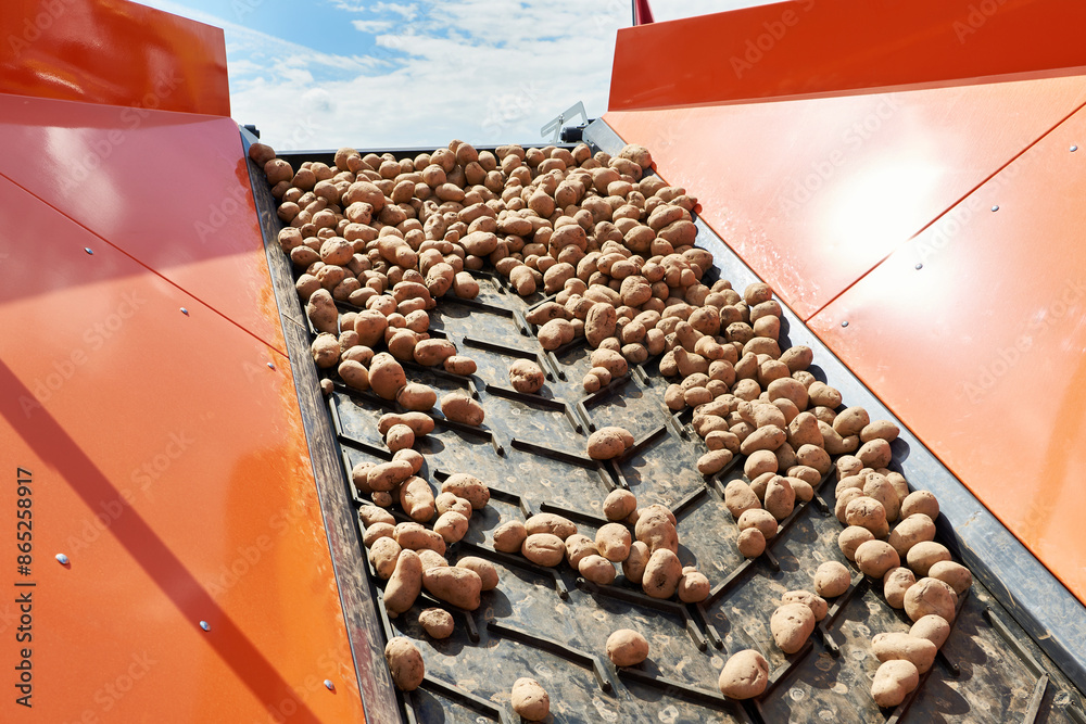 Infeed hopper for vegetables agricultural machine and potatoes Stock ...