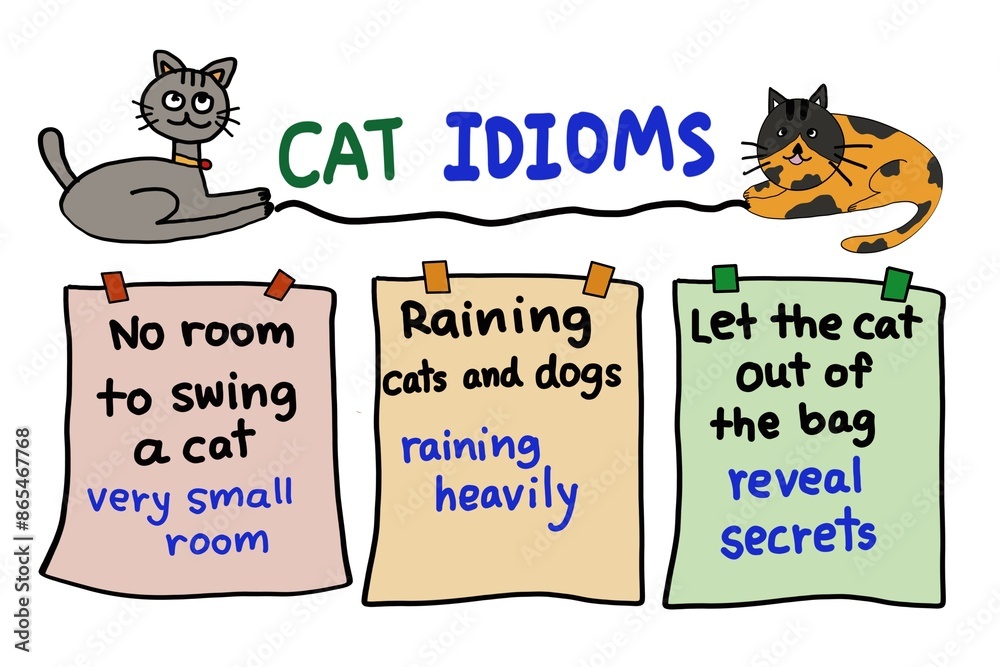 Hand drawn picture of colorful cards with texts about cat idioms ...