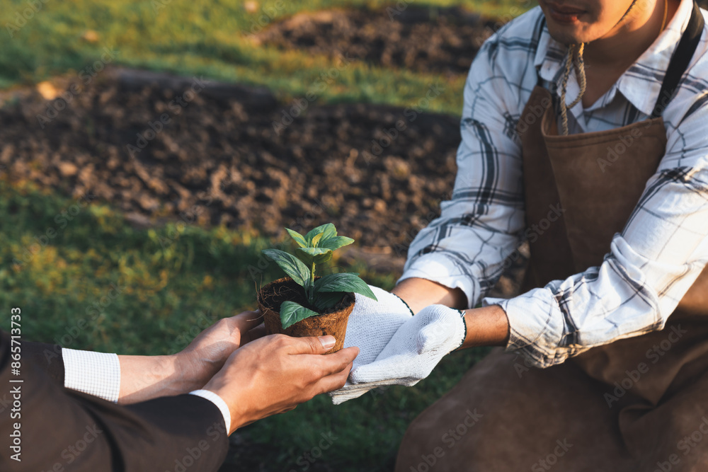 Eco-business company empower farmer with eco-friendly farming practice ...