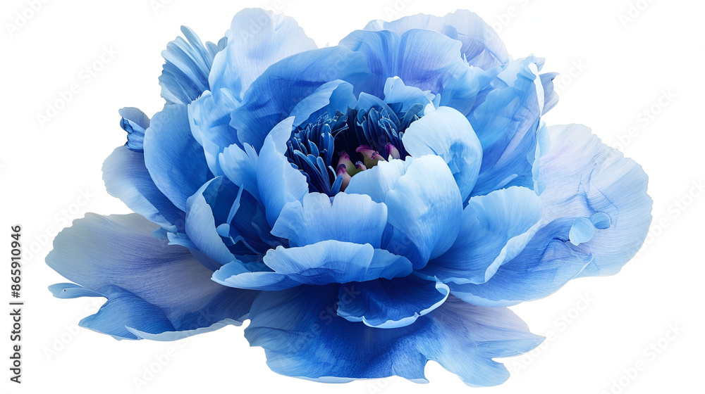 Part of a beautiful blue flower in isolation,PNG of Blue Flower ...