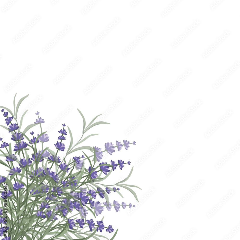 Floral purple-lavender border made of lavender flowers and leaves, for ...