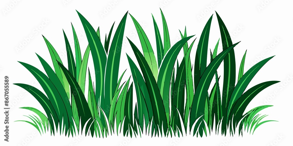 Hand-drawn grass blades on white background, great for creating ...