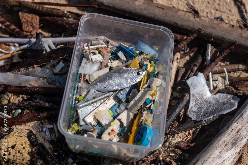 Contamination of micro-plastic waste in small particles in the sea and ...