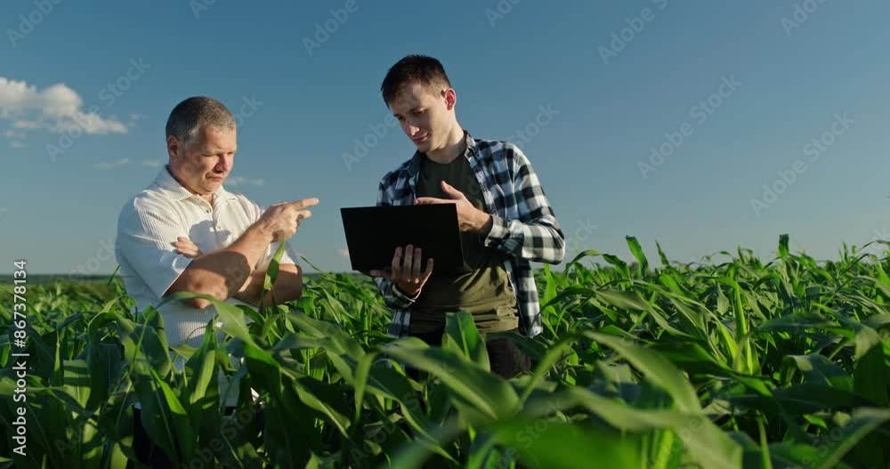 Two farmers of different generations working in a cornfield, using a ...