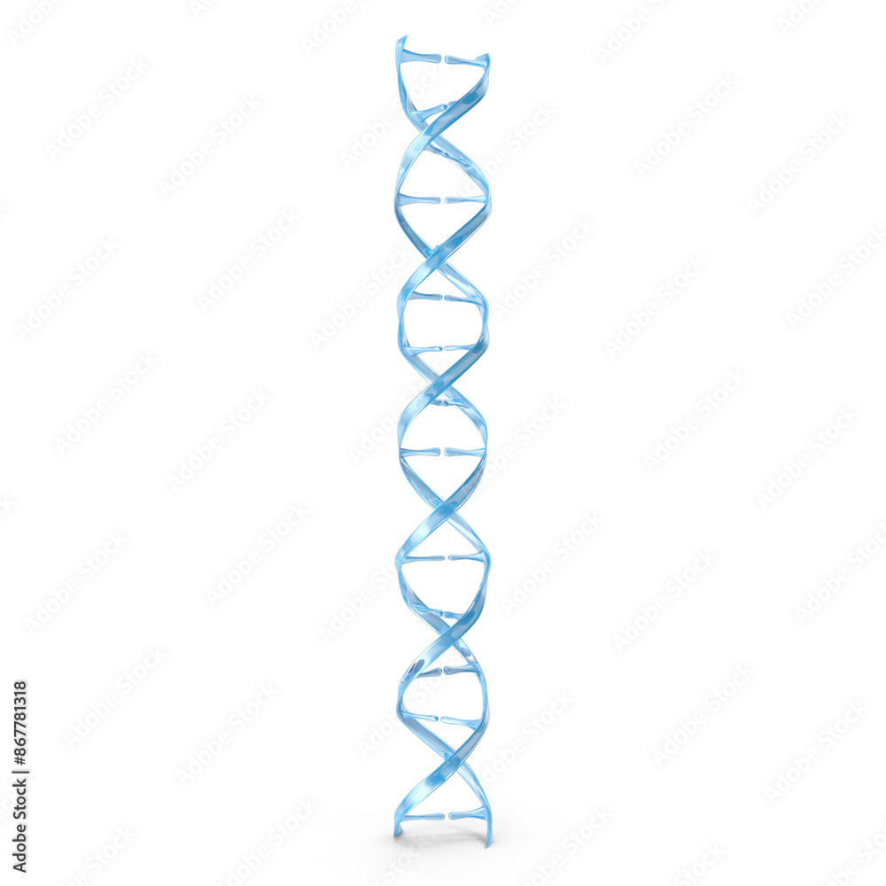 Realistic 3D DNA Model PNG Images | High-Quality DNA Modeling ...