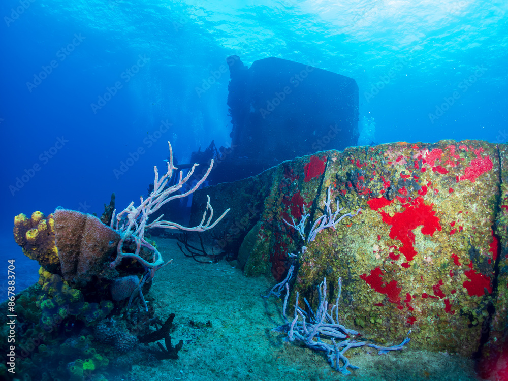 Felipe Xicotencatl C-53 shipwreck, originally named the USS Scuffle ...