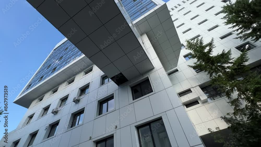 Hospital Skybridge Amidst Towering Pines: Ground-Level View of Nature ...