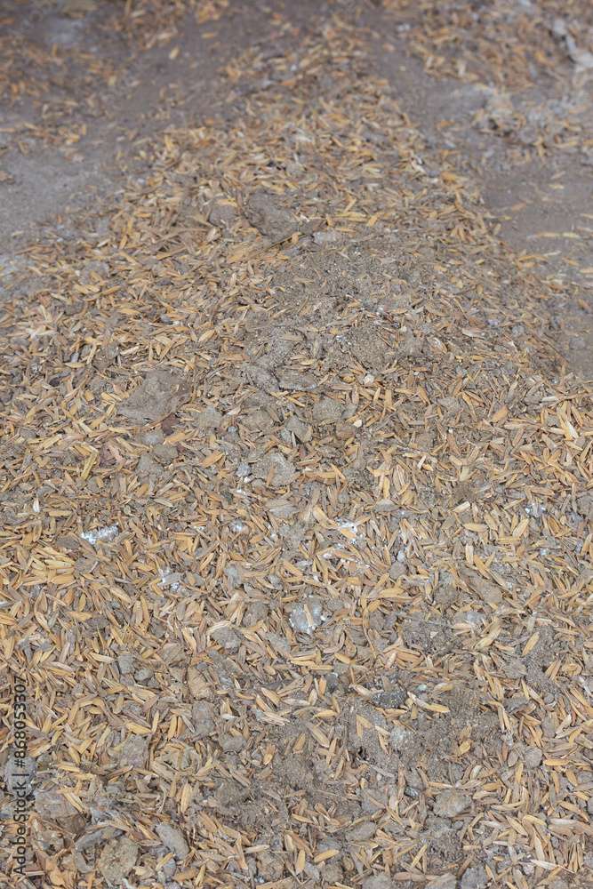 paddy or rice husk with chicken droppings mixture composting, pile of ...