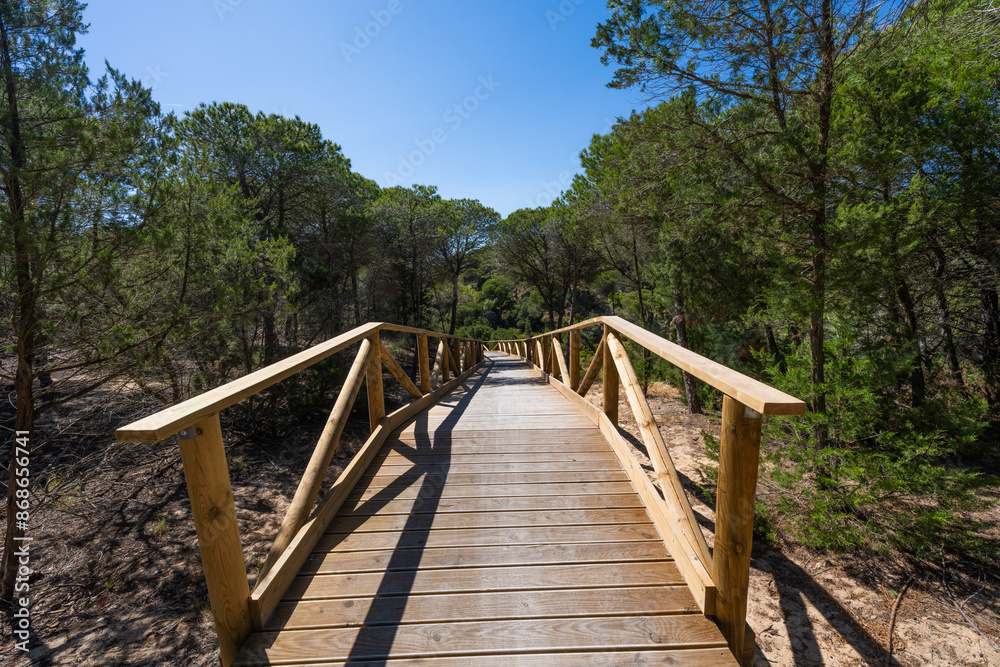 Arco Atantico, Pinar El Chaparral, Parque Natural del Estrecho, Tarifa ...
