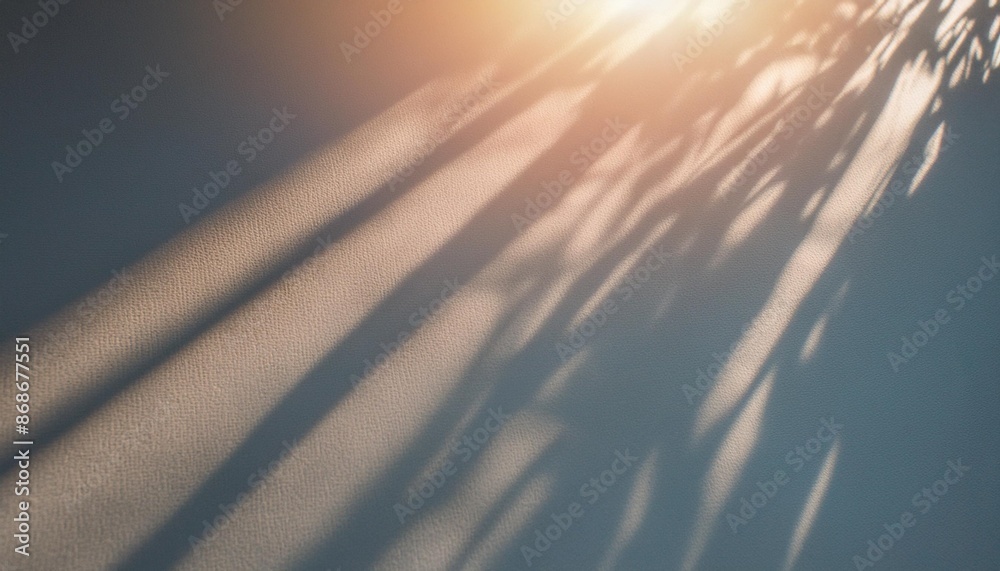 sunlight background abstract photo with light and shadow glare and ...
