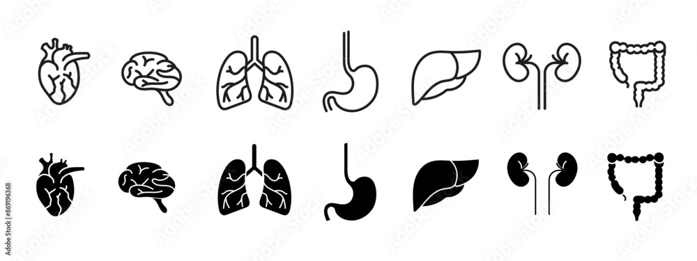 Human organ icons set, internal organs of human icon sheet, organs ...