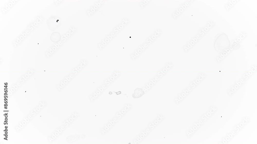 Old film effect, add a vintage look to your videos with this old film ...