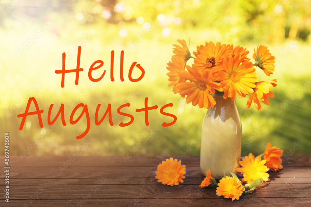 Hello August. Country landscape with calendula flowers in sunlight ...