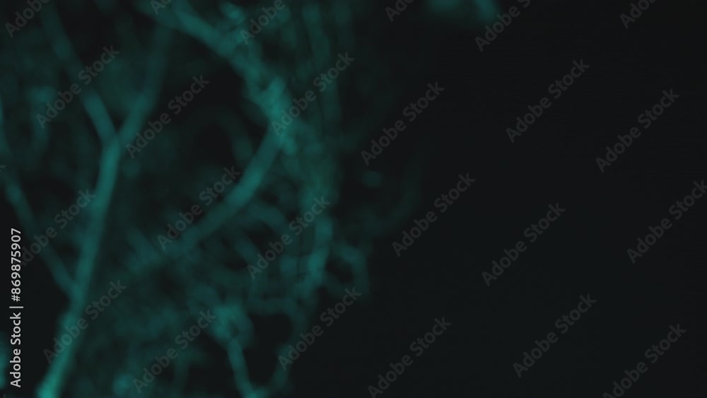 Texture of dried leaves on a black background, creepy transition ...
