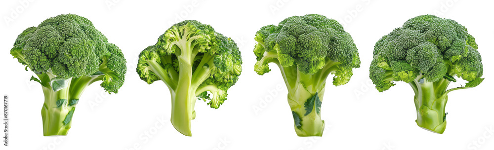 Four broccoli heads, each with different angles and shapes, isolated on ...