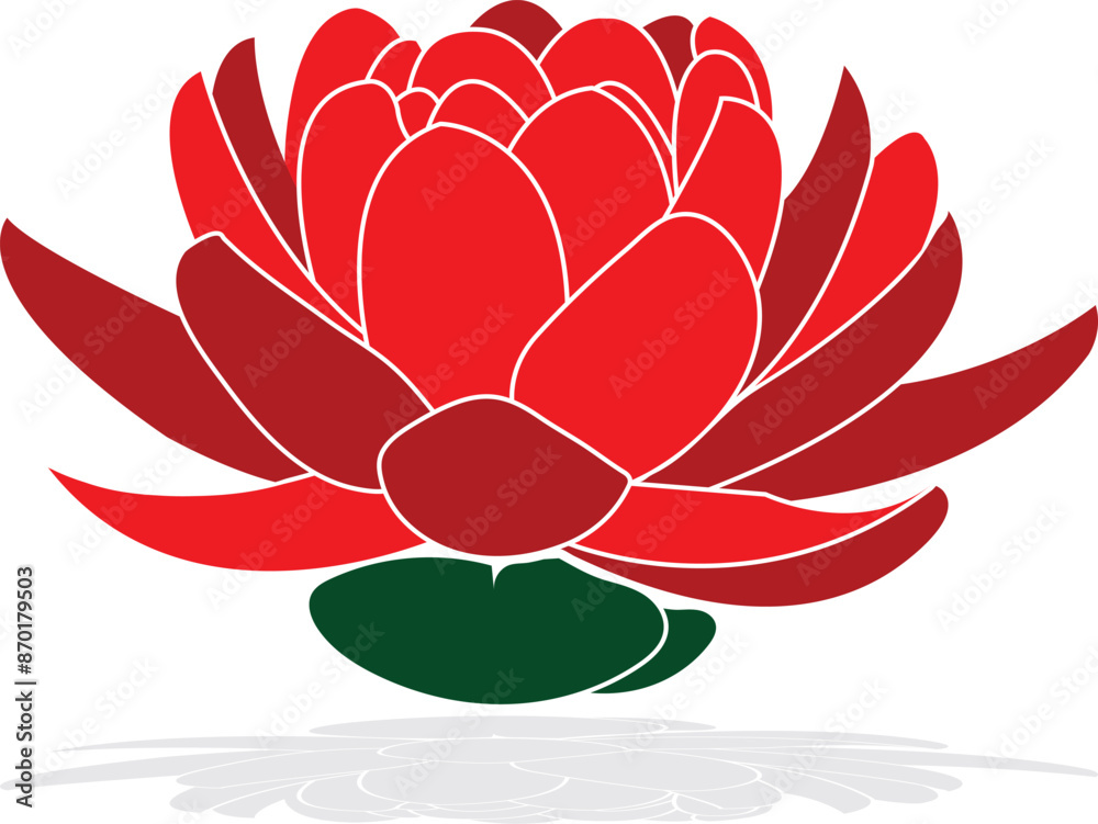 lotus flower vector, Water Lily, The national flower of Bangladesh ...