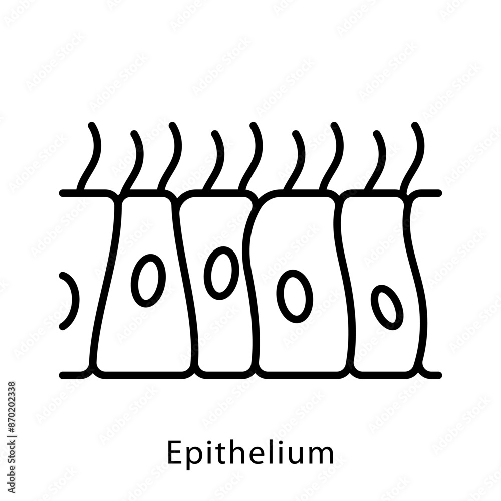 Epithelium cells, line icon. Skin, protection, soft, flexible, tissue ...