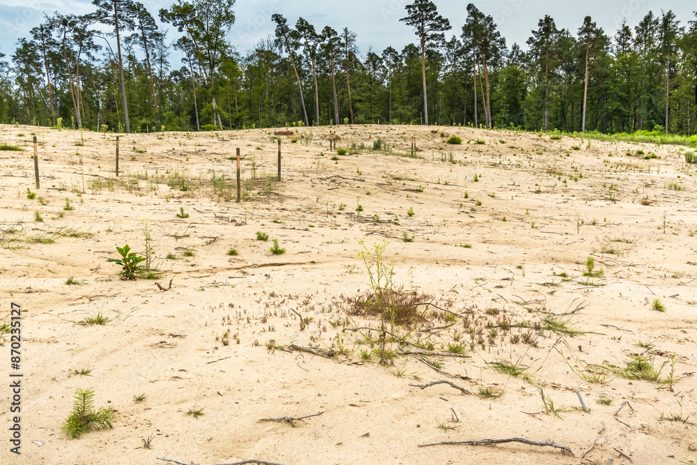 Soil erosion in a forest, arid landscape without thees and plants Stock ...