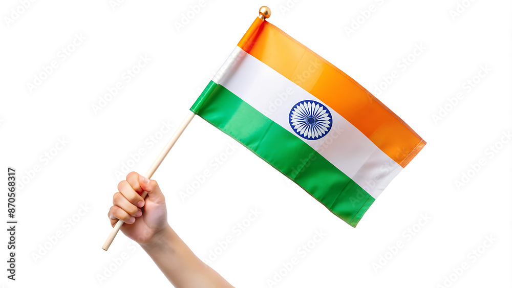 Beautiful Indian flag flying pigeons, India celebrates its independence ...
