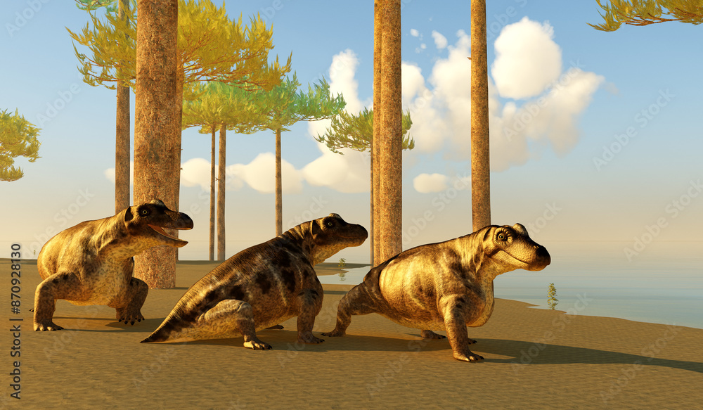 Keratocephalus by Lakeshore - Keratocephalus was a primitive herbivore ...