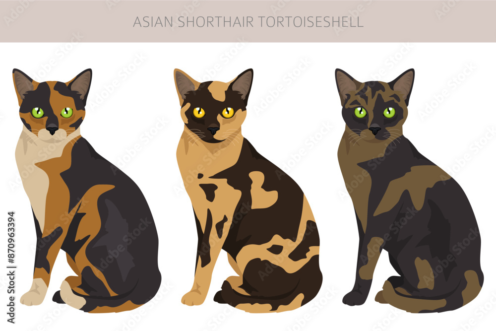 Asian shorthair Tortoiseshell cat clipart. All coat colors Asian Tortie set. All cat breeds ...