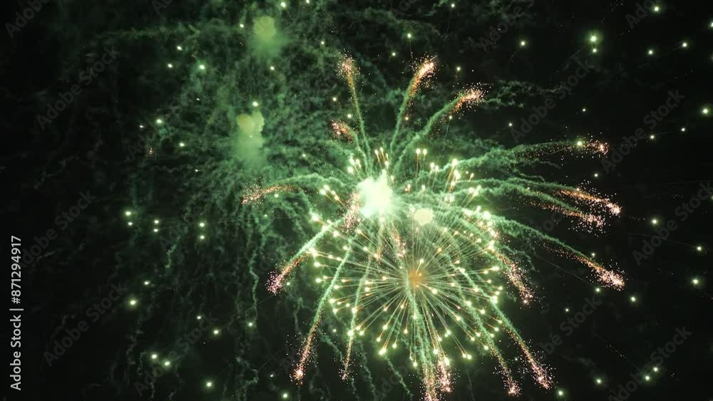 Fireworks explode leaving trails of shimmering stars in black sky at ...