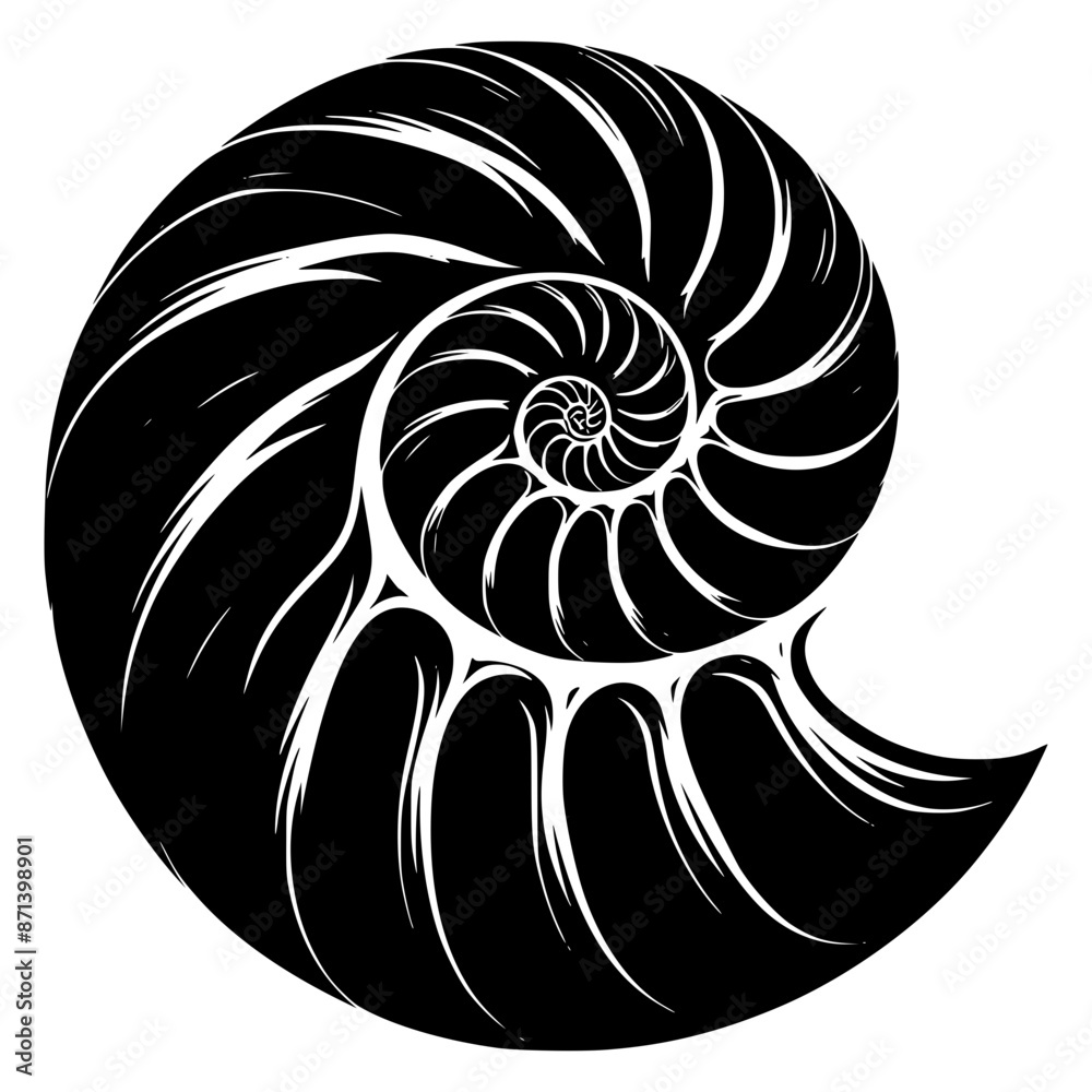 Vecteur Stock Seashell, Shell, Seashell Svg file, Seashell Png ...