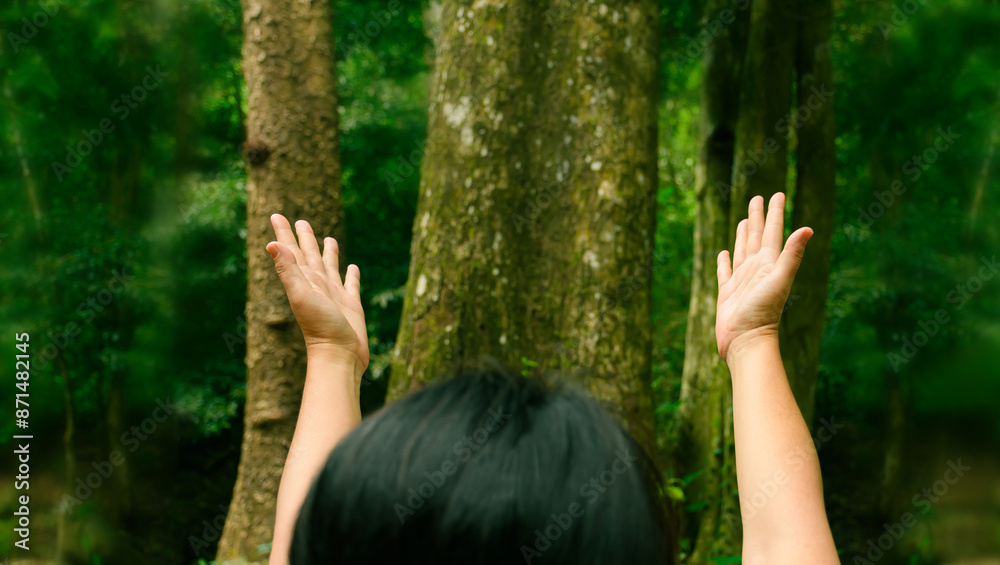 Person with outstretched hands facing tall trees in a lush green forest ...