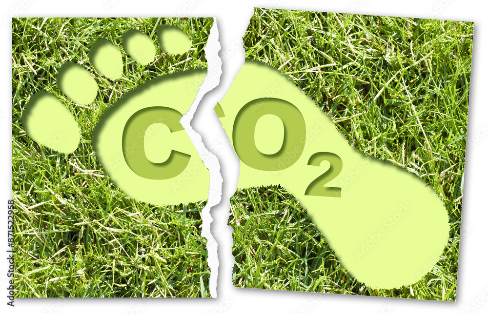Carbon footprint concept with CO2 text against footprint in grass shape ...