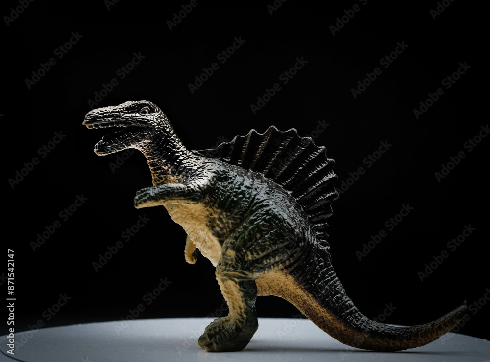 The Stegosaurus was a large and robust quadrupedal herbivorous dinosaur ...