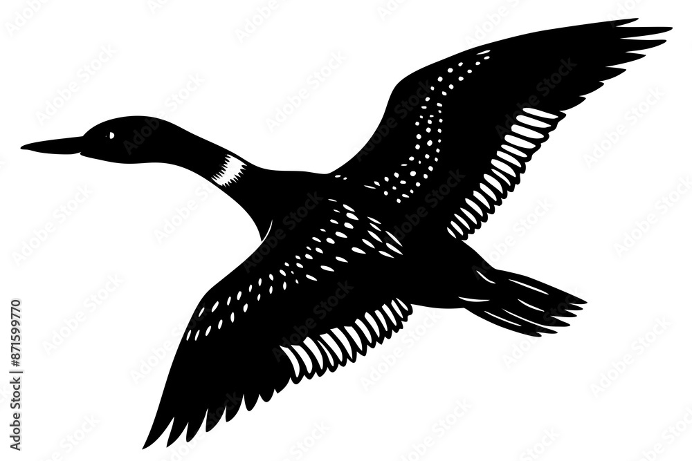 Poster flying loon black silhouette vector illustration – Wall Art ...